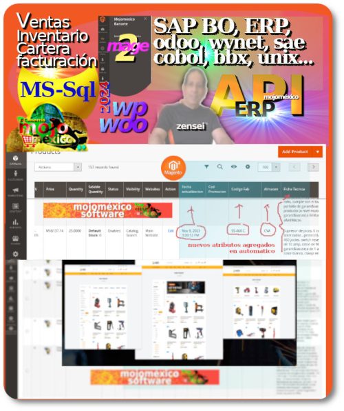 API Sap Erp Woo - Saeweb